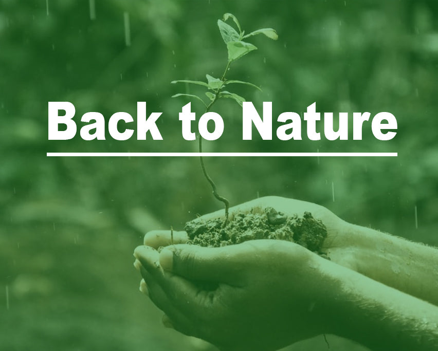 Back to Nature: 6 Tips to Help You Reconnect with the Natural World Ar ...